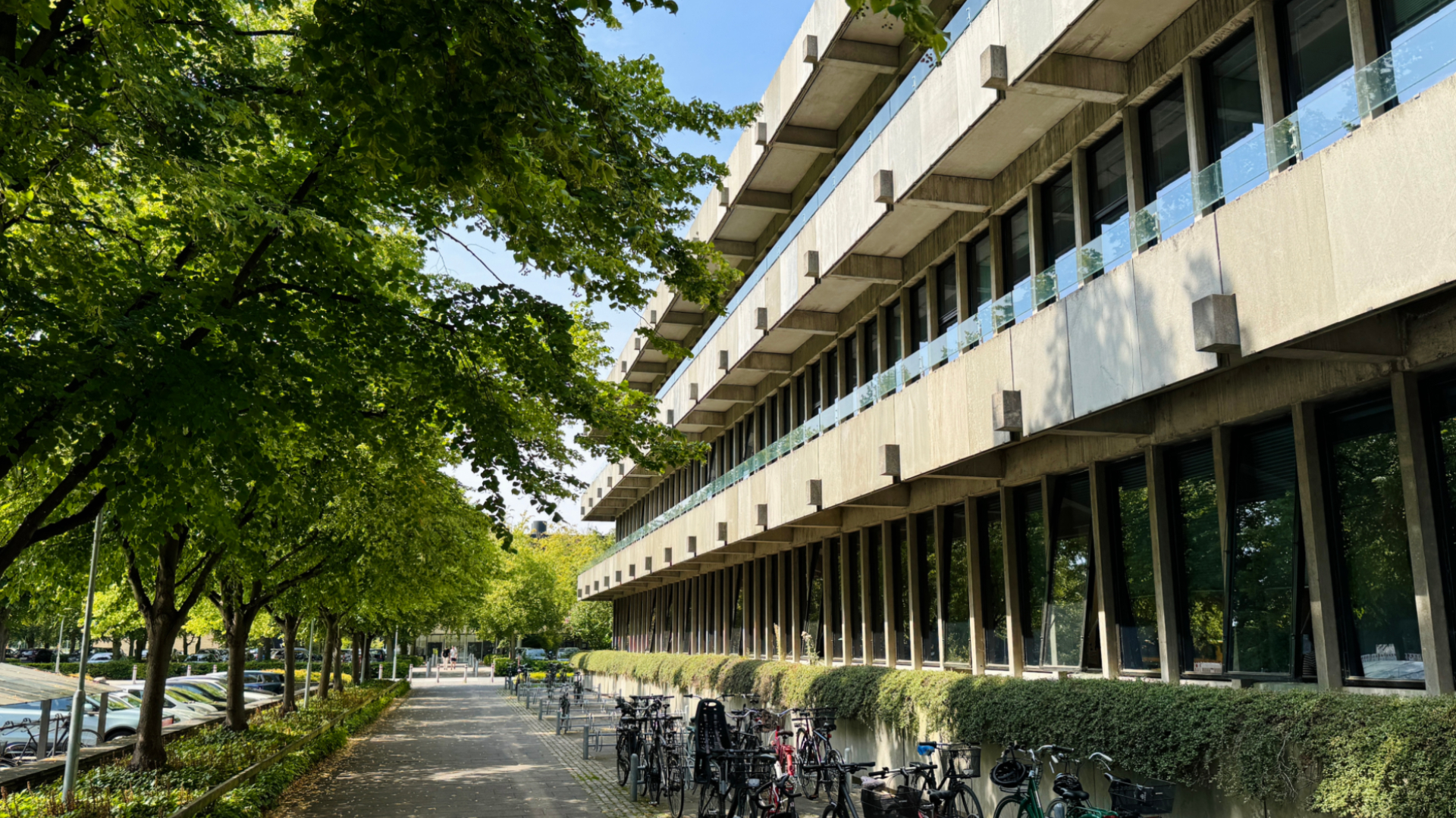DTU Physics
